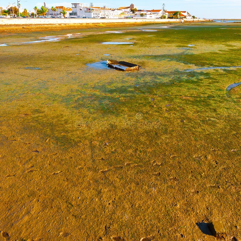 Moeras in Portugal stock afbeelding. Image of vloed, oceaan - 82634867