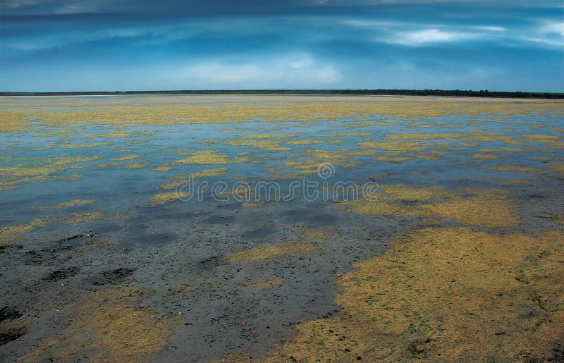 Moeras stock foto. Image of bergen, meer, landschap, landschappen - 912248
