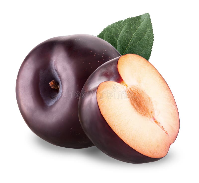 Ny plommon fotografering för bildbyråer. Bild av löv - 44708243