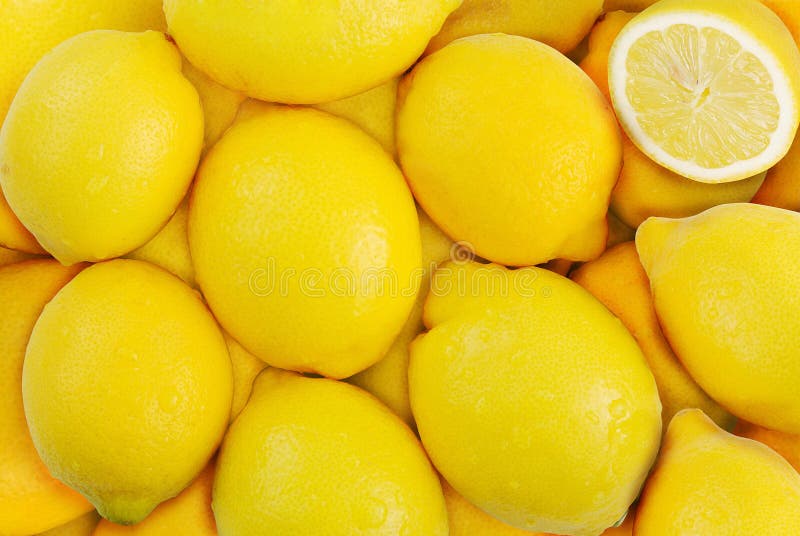 Citroner fotografering för bildbyråer. Bild av citron, saftigt - 117475