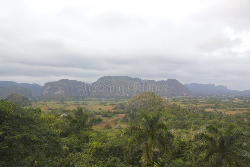 Mogotes De Vinales - Cuba Del Los Imagen de archivo - Imagen de parque ...