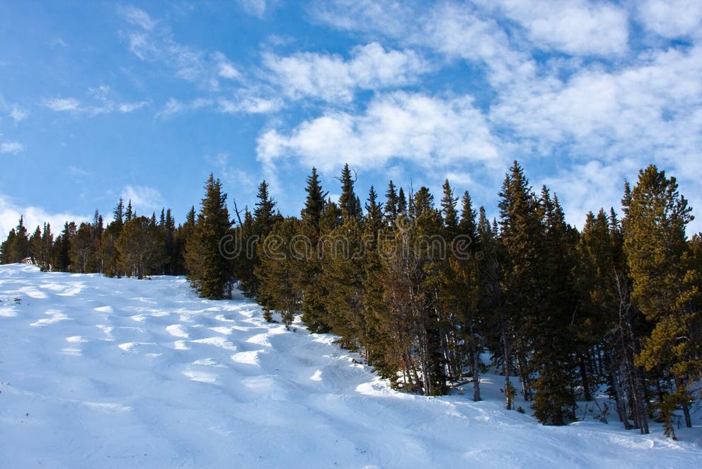 Mogul Ski Run stock photo. Image of moguls, mogul, slope - 12555606