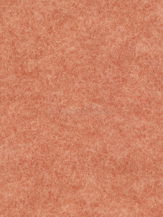 Human Skin Seamless Texture Stock Image - Image of dermal, cutis: 29583171