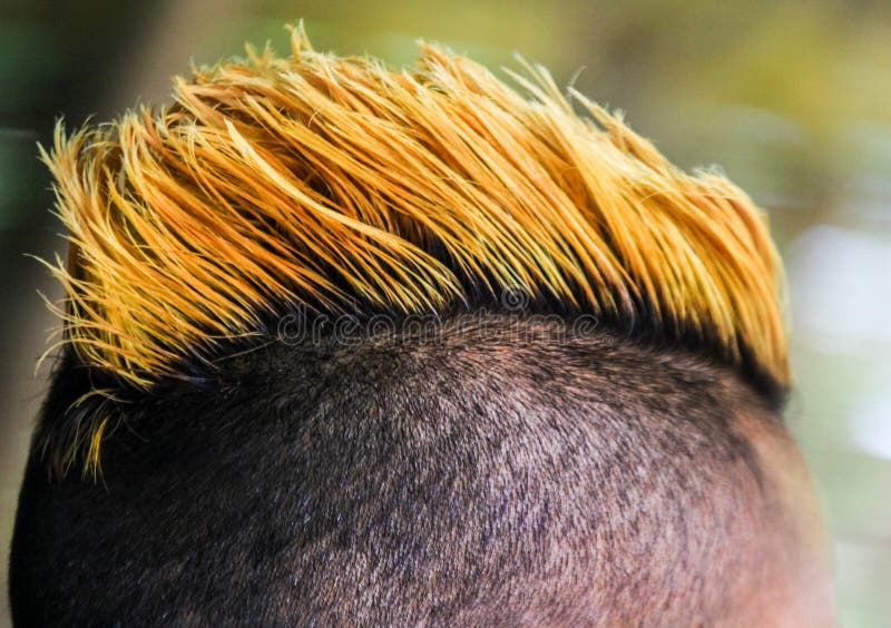 Mohawk Hair Style Close Up View with Yellow Dye of Hair Stock Image ...