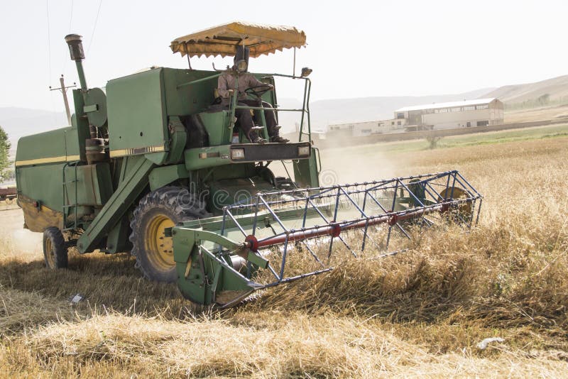 Moisson du blé photo éditorial. Image du collectes, céréale - 49907361