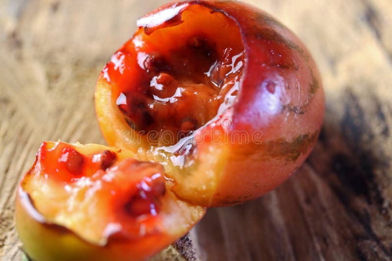 MOIST INNER SURFACE of BROKEN TREE TOMATO FRUIT Stock Photo - Image of ...