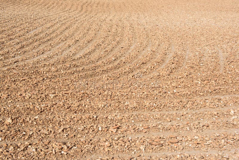 Moist Manioc Root Stock Photos - Free & Royalty-Free Stock Photos from ...