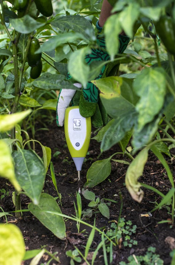 Moisture Meter Tester in Soil. Measure Soil for Humidity with Digital ... Moisture Meter Tester in Soil. Measure Soil for Humidity with Digital ...