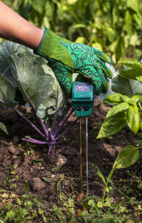 Moisture Meter Tester in Soil. Measure Soil for Humidity, Nitrogen and ... Moisture Meter Tester in Soil. Measure Soil for Humidity, Nitrogen and ...