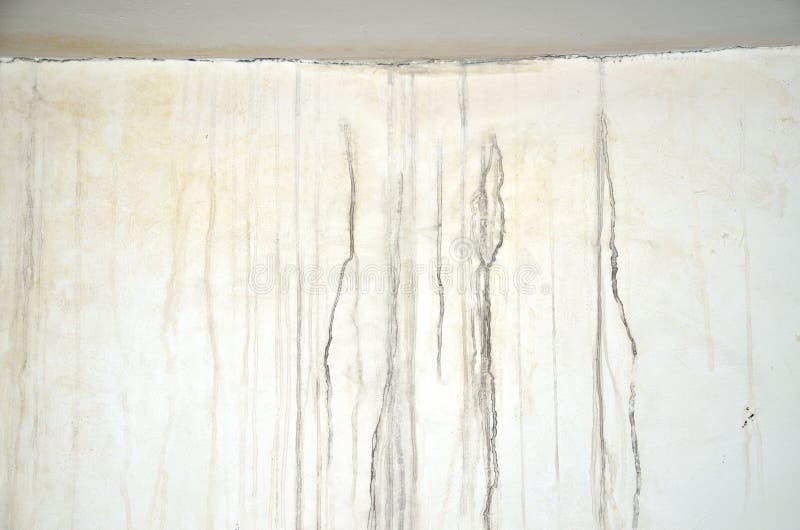 Moisture on the wall stock image. Image of room, house - 54065153