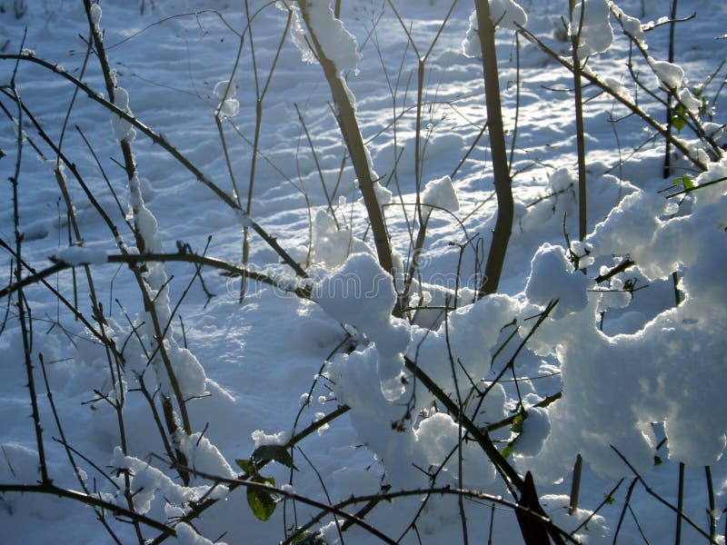 Moite Fotos - Fotos de Stock Gratuitas e Fotos Royalty-Free Dreamstime