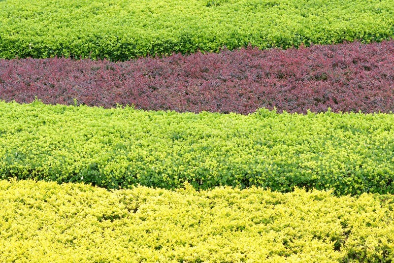 Moite Fotos - Fotos de Stock Gratuitas e Fotos Royalty-Free Dreamstime