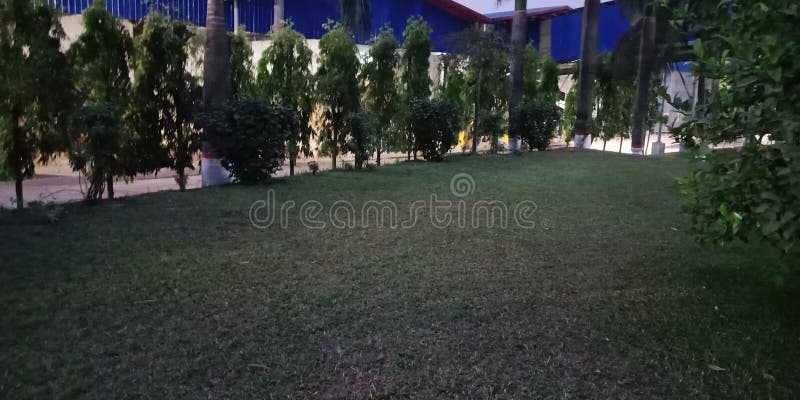 Mojar Reals Stock Photos - Free & Royalty-Free Stock Photos from Dreamstime