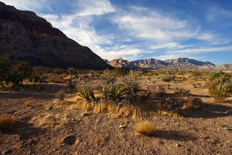 Mojave Desert stock photo. Image of sand, scenic, landscape - 9159426