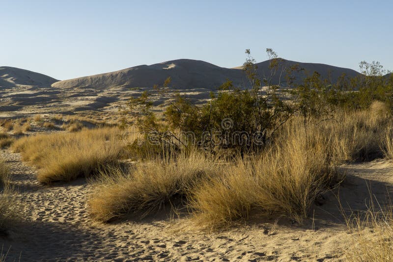The Mojave Desert, View of the Sand Dunes Stock Image - Image of arid ...