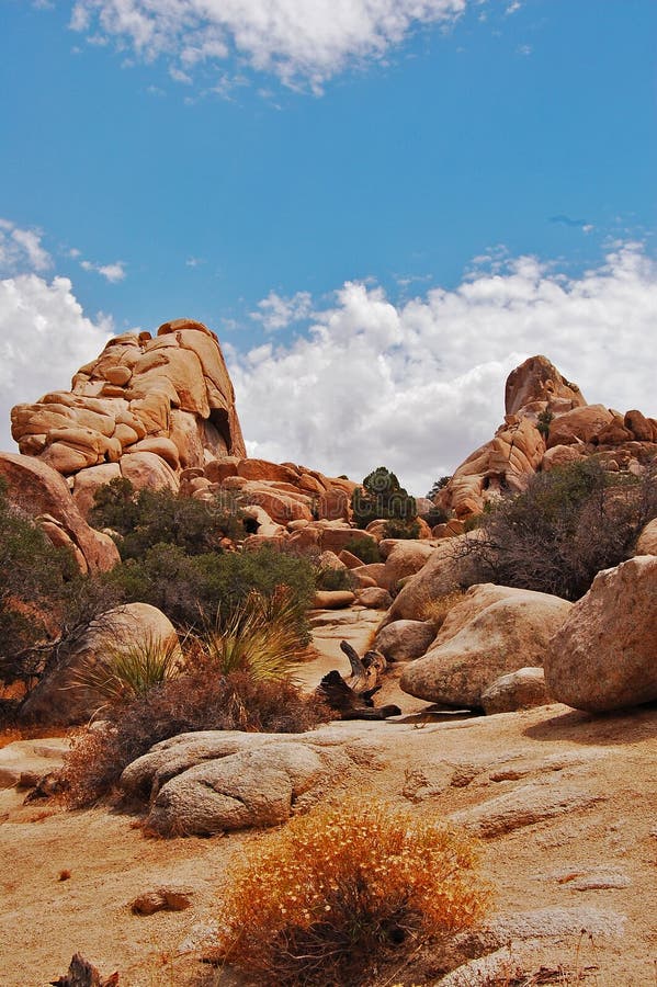 Mojavewoestijn stock afbeelding. Image of rood, flora - 70357603