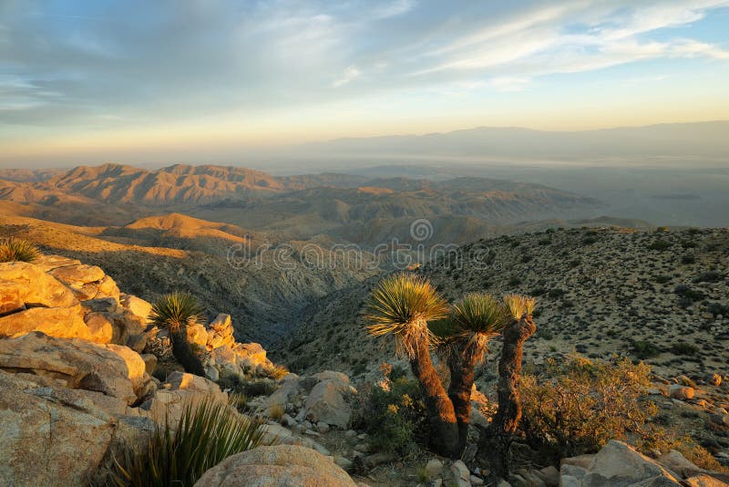 Mojavewoestijn Van Inspiratiepunt Stock Afbeelding - Image of struiken ...