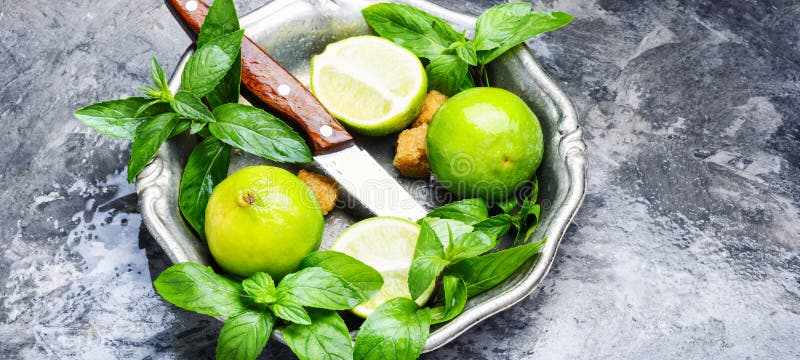 Fresh green mint and lime stock image. Image of cuba - 121315931