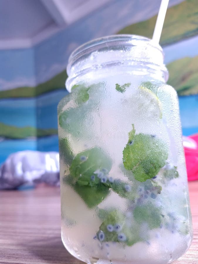Mojito squash drink stock photo. Image of water, beer - 209291662