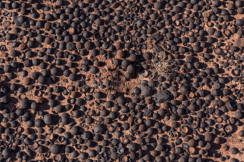 Moki Marbles, Moqui Marbles Stock Image - Image of moqui, moki: 91273739