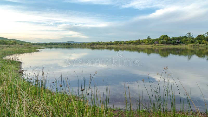 Mokolodi Nature Reserve stock image. Image of plain, reflection - 50703399