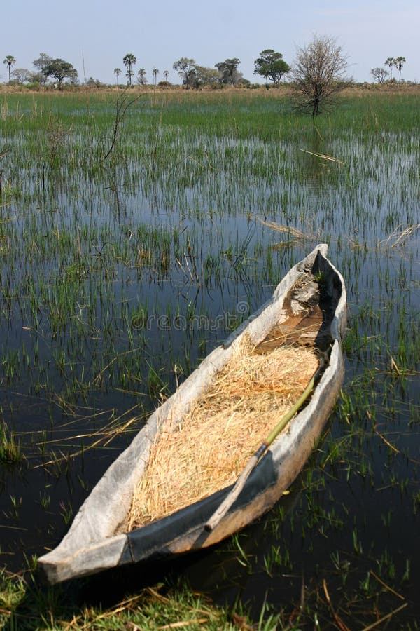 Mokoro in the Delta stock image. Image of africa, calm - 5344717