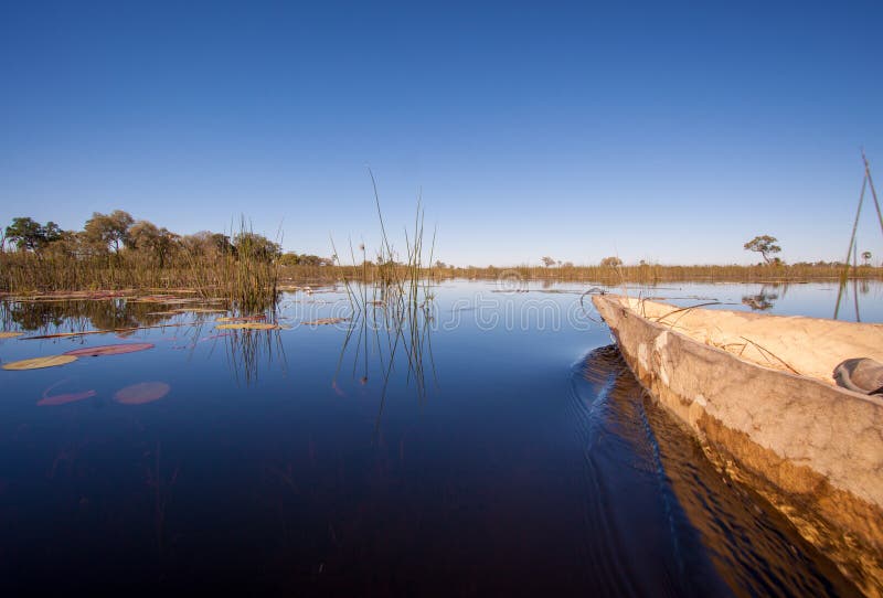 Mokoro in the Delta stock image. Image of africa, calm - 5344717