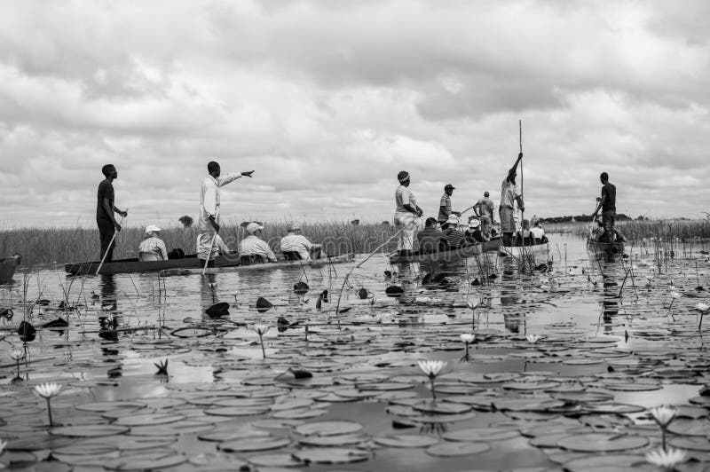 Mokoro Canoe Trip in the Okavango Delta Near Maun, Botswana Editorial ...