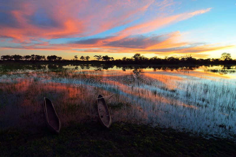 Mokoro in the Okavango Delta at Sunset, Botswana Stock Image - Image of ...