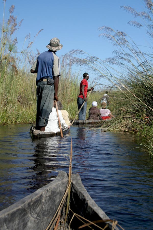 Mokoro Safari in the Delta stock photo. Image of mokoro - 5344436