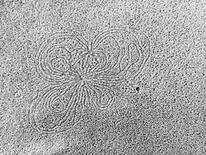 Microscopio Y Molécula De La DNA. Foto de archivo - Imagen de genes ...