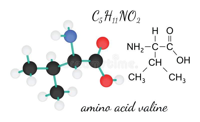 Acide Aminé De Valine. Formule Moléculaire Chimique De L'acide Aminé De ...