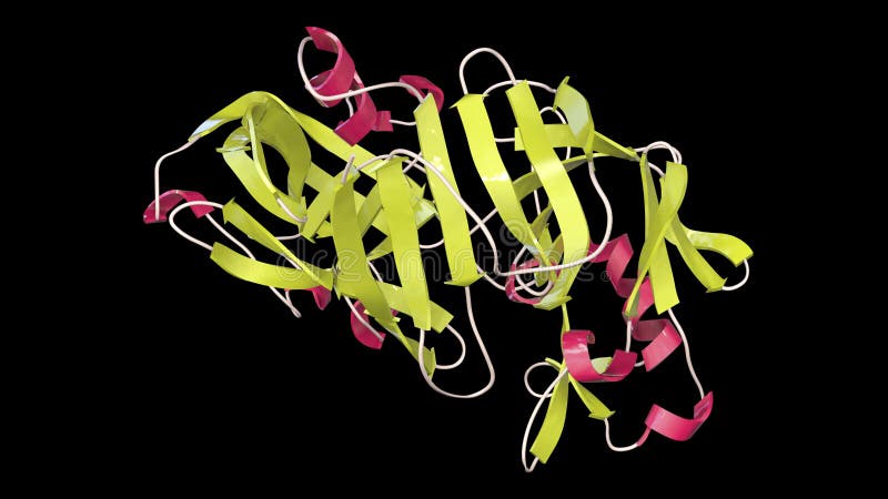 Molécule D'enzyme Gastrique Pepsine Illustration Stock - Illustration ...