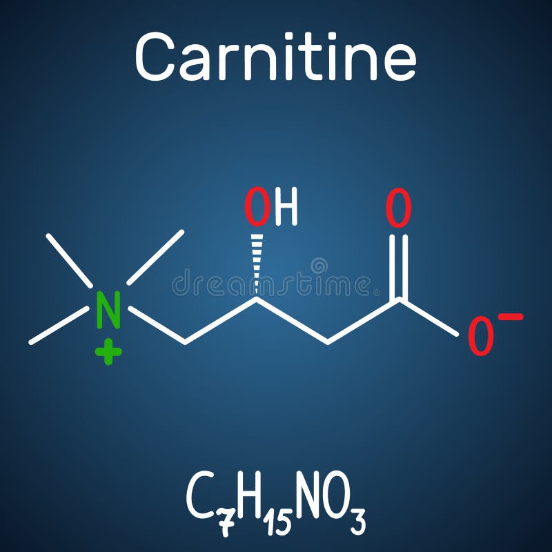 Molécule De L-carnitine De Carnitine Formule Chimique Structurelle ...