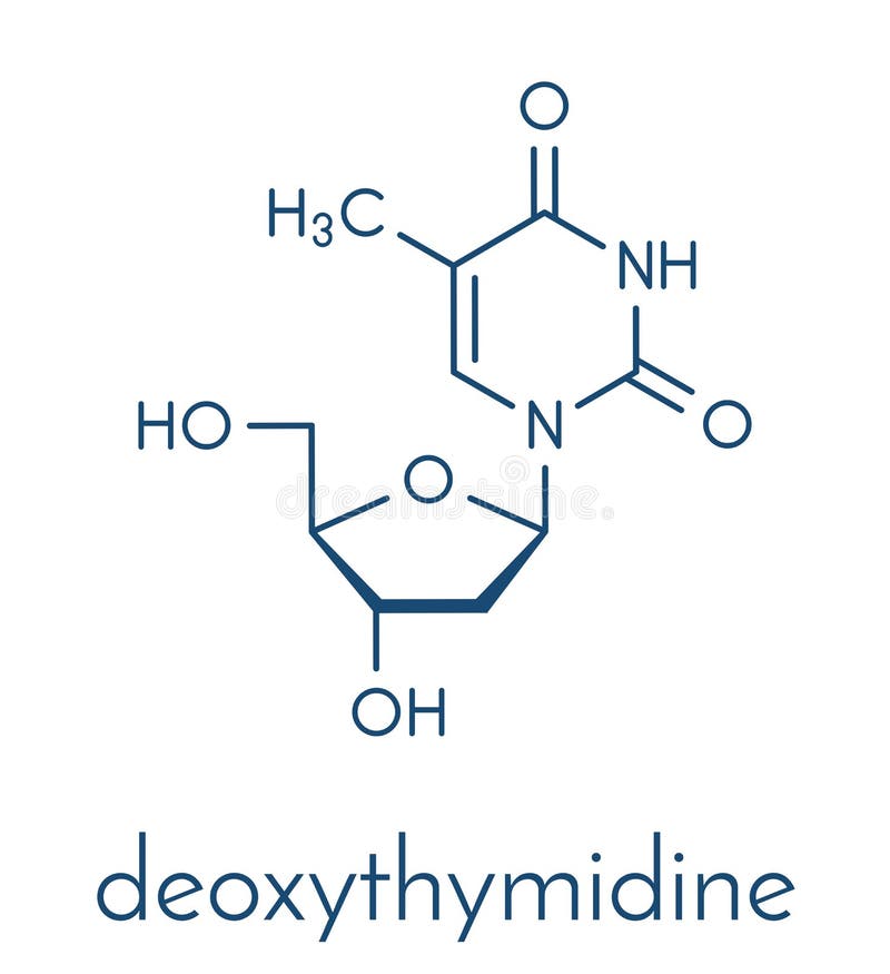 Molécule De Nucleosidiques De Deoxythymidine Thymidine. Bloc De ...