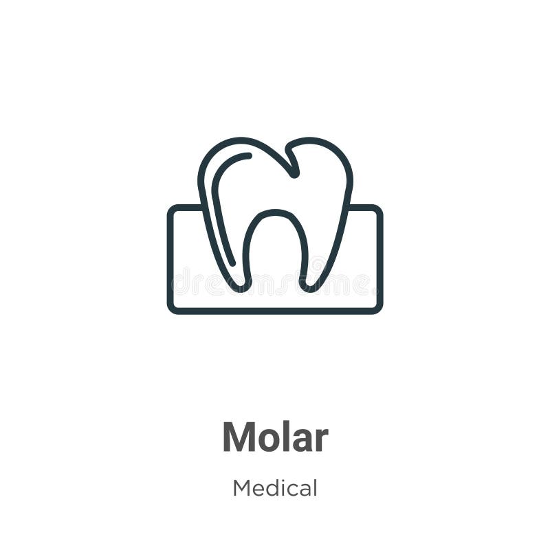 Molar Outline Vector Icon. Thin Line Black Molar Icon, Flat Vector ...