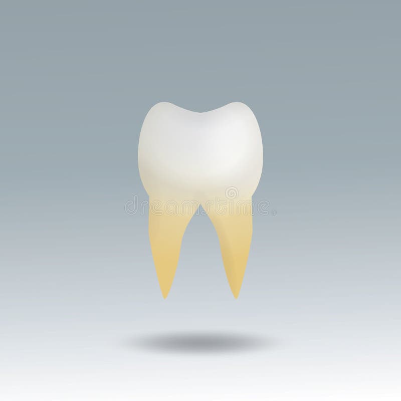 Molar Tooth with Plaque. Vector Illustration Decorative Design Stock ...