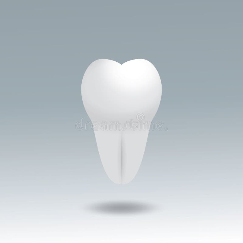 Molar Tooth. Vector Illustration Decorative Design Stock Vector ...