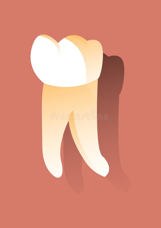 Molar Tooth. Vector Illustration Decorative Design Stock Vector ...