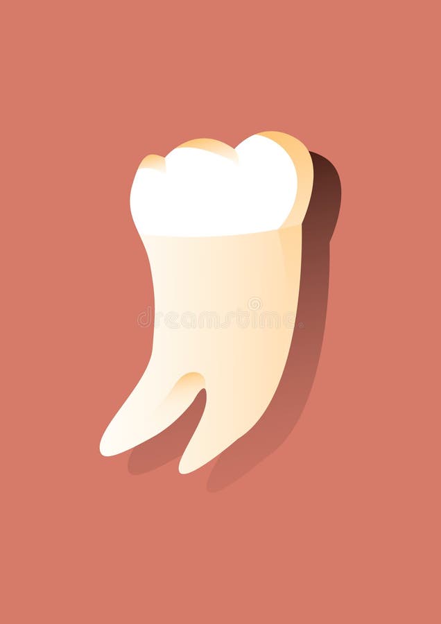 Molar Tooth. Vector Illustration Decorative Design Stock Vector ...