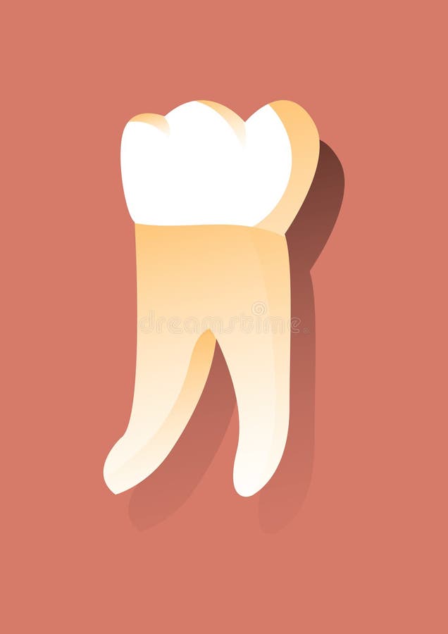 Molar Tooth. Vector Illustration Decorative Design Stock Vector ...