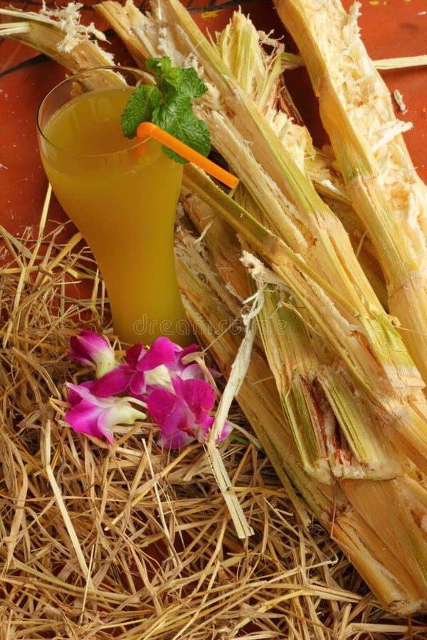 Exhaustive Cane Stock Photos - Free & Royalty-Free Stock Photos from ...