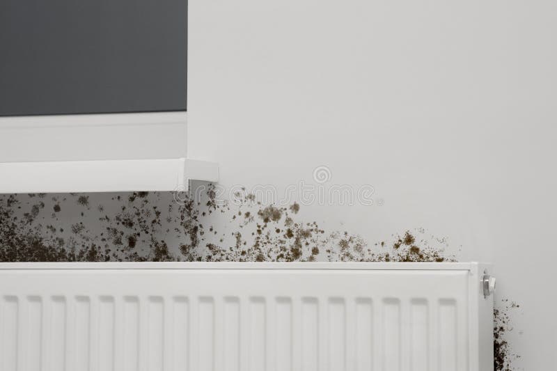 Mold Around Panel Radiator on Wall in Room Stock Photo - Image of house ...