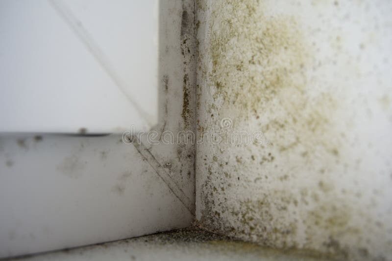 Mold Around Panel Radiator on Wall in Room Stock Photo - Image of house ...