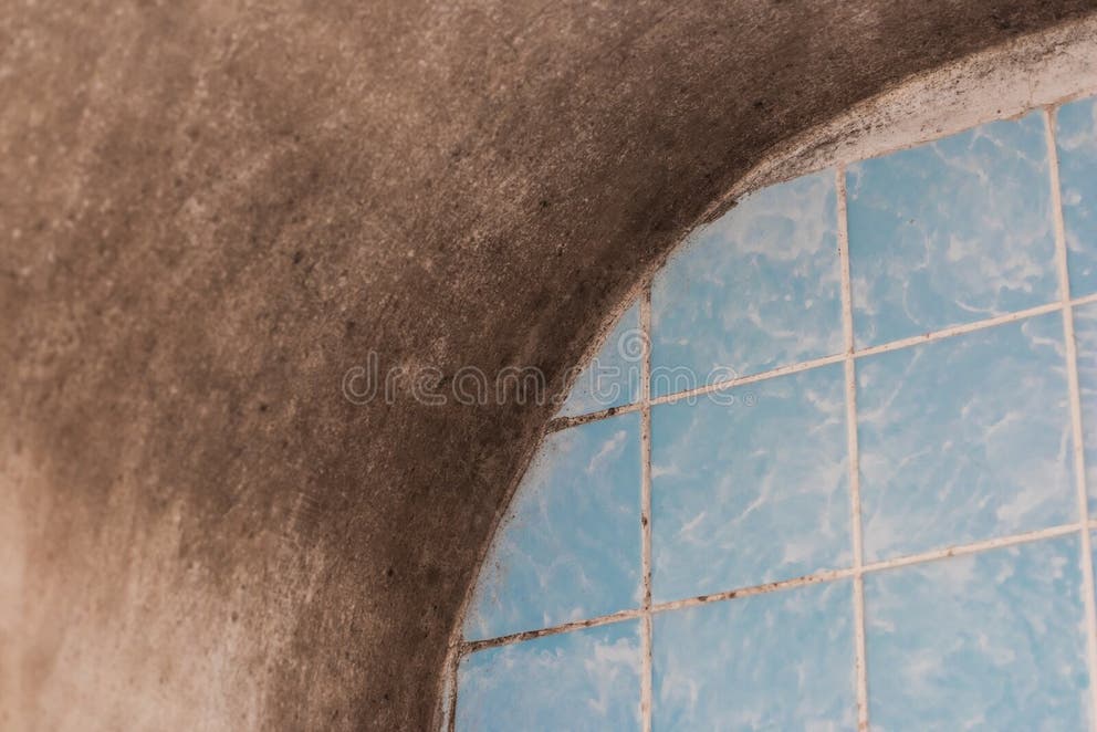 Mold on the Bathroom Wall, Uncleaning Stock Image - Image of black ...