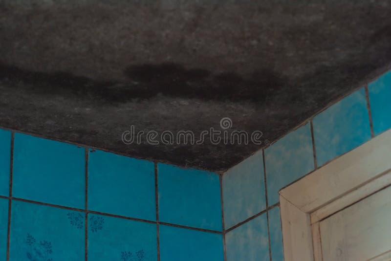 Mold on the Bathroom Wall, Uncleaning Stock Photo - Image of product ...