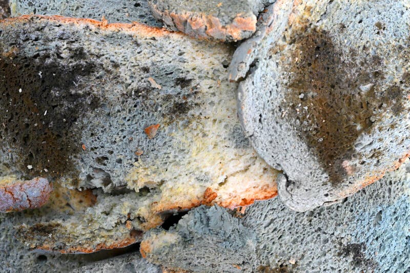 Mold Bread Eating Dangerous Food Theme Stock Photos - Free & Royalty ...