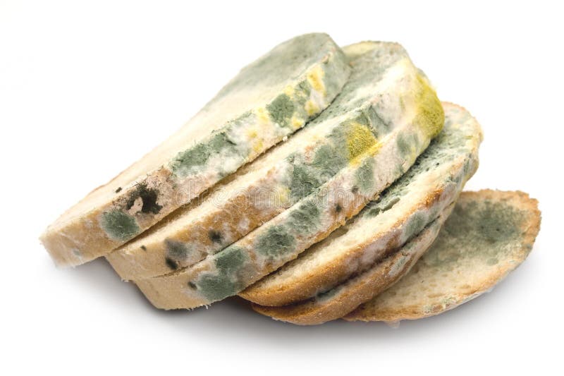 Mold on Bread Isolated on White Background Stock Image - Image of green ...