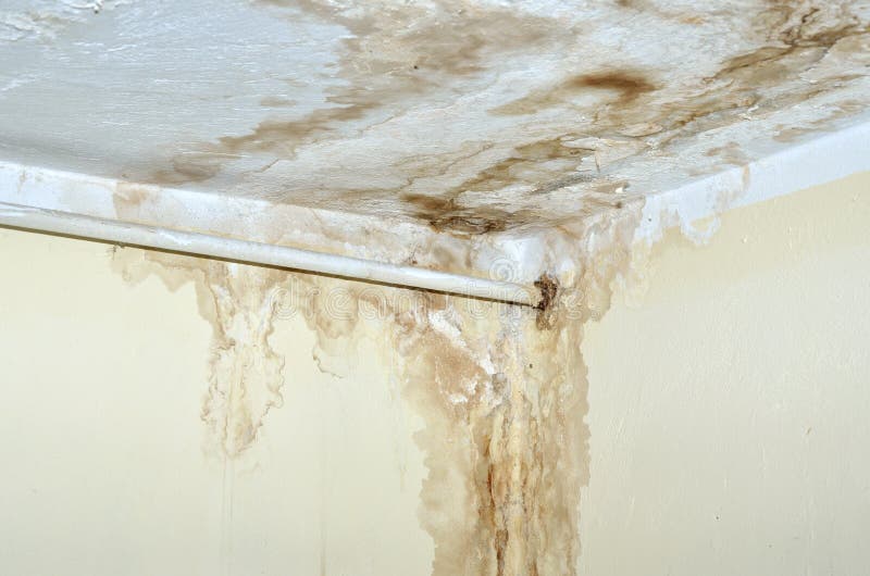 Mold on the Ceiling and Rusty Pipe on the Wall Stock Photo - Image of ...
