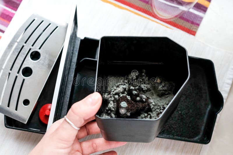Mold in a Coffee Machine. a Hand Holds a Container with Leftover Coffee ...